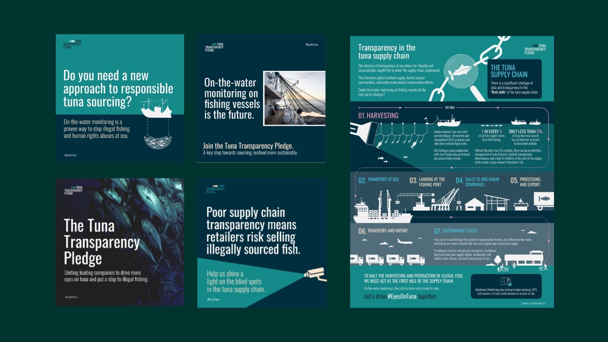 Top 12 Environmental Campaigns of 2024 - Greenhouse Communications