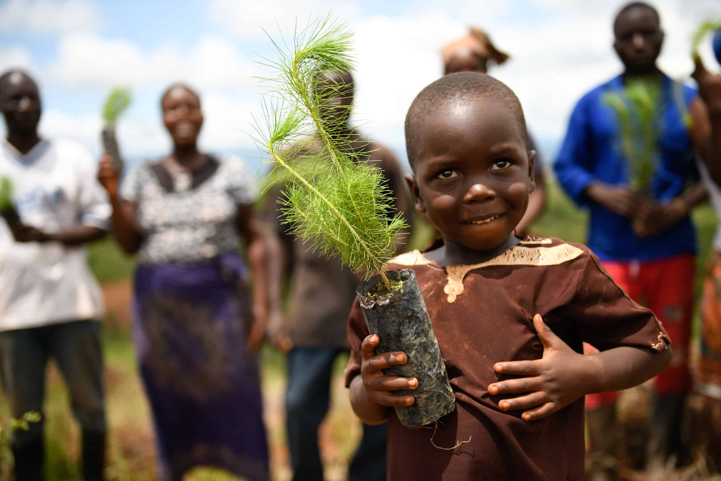 Global event captures the achievements of the Bonn Challenge ...