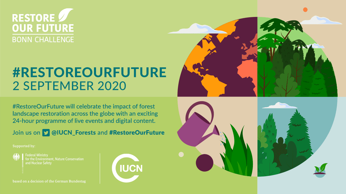 The Bonn Challenge: join the world’s largest 24-hour event on ...
